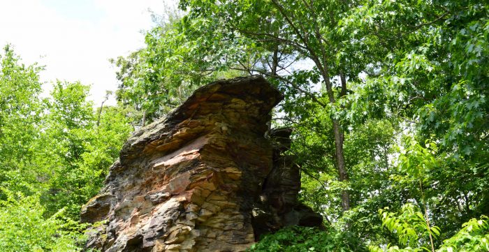 Things to Do - Visit Braxton, WV : Visit Braxton, WV